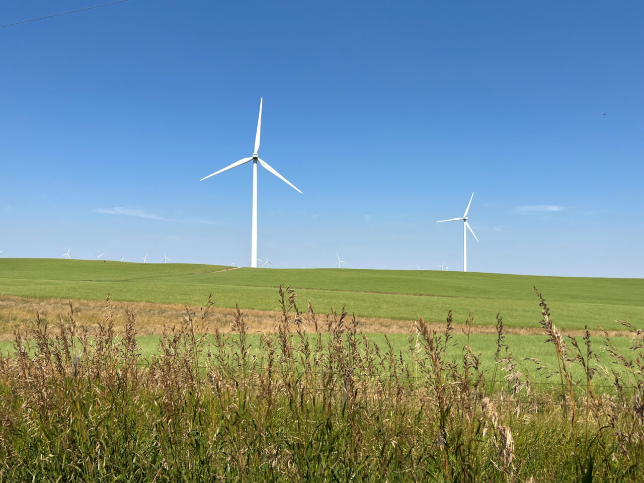 Windless Wednesday in Alberta as output falls to 0.1 per cent, while ...
